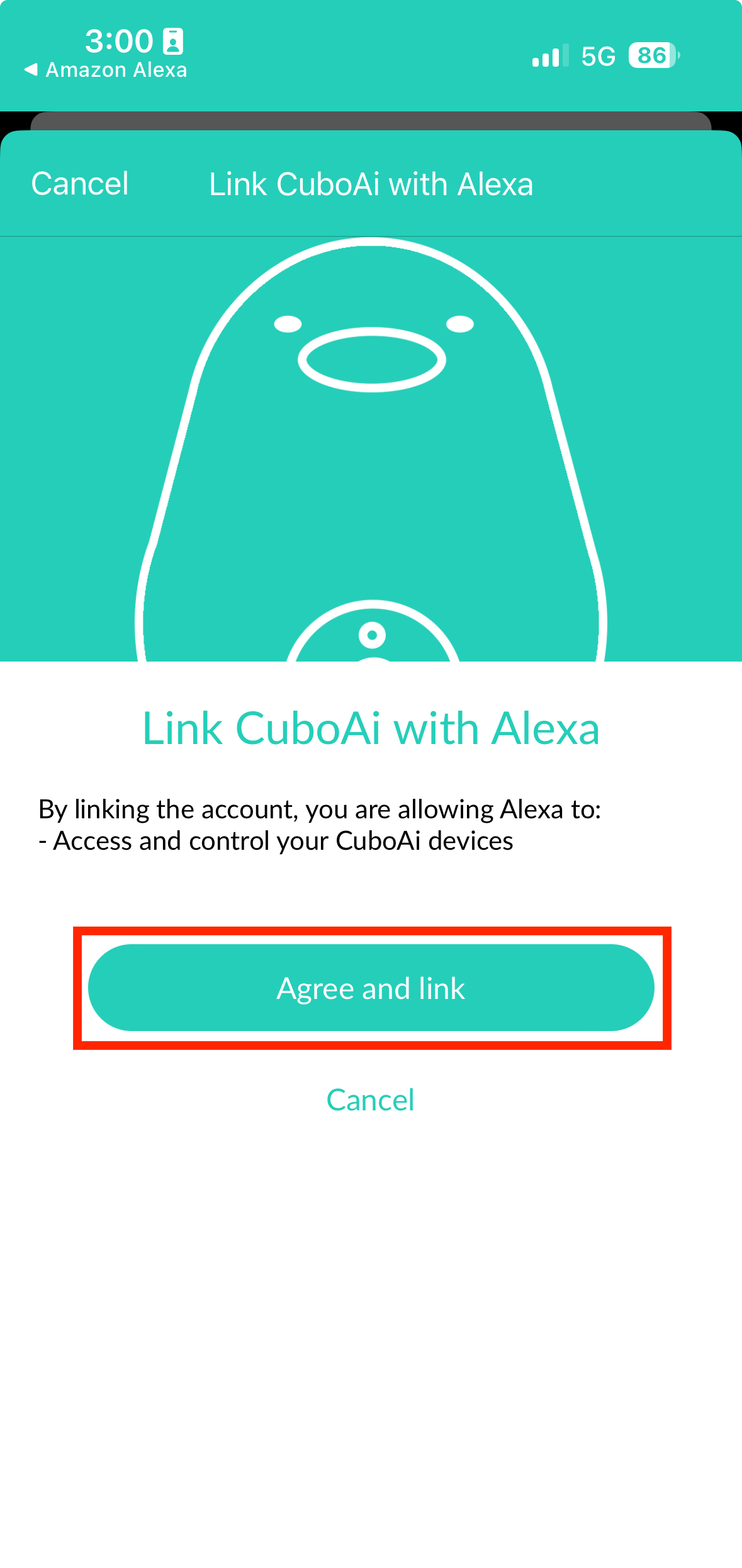 Jak połączyć monitor CuboAi 3 z Alexą Echo Show? – Najczęstsze pytania ...